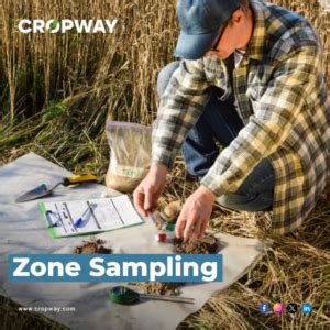 Top 6 Methods For Soil Sampling Efficiency CROPWAY 2025