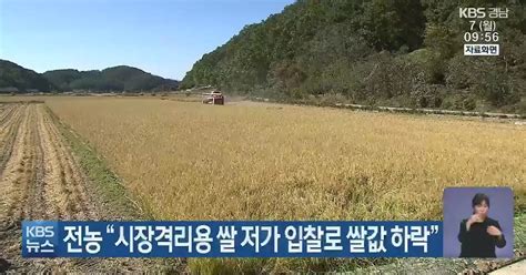 전국농민회 시장격리용 쌀 저가 입찰로 쌀값 하락