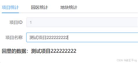 vue js组件（5）：表单回显 vue表单回显数据 csdn博客
