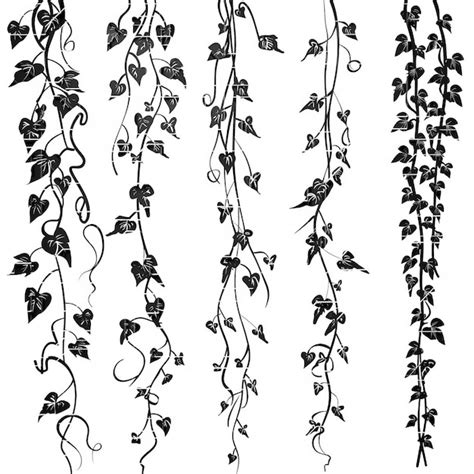 Ivy Flat Vector Linear Templ Set Illustration High Quality Premium Ai Generated Vector