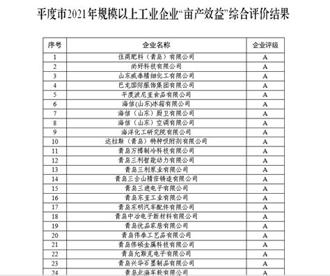 青岛碱业发展有限公司