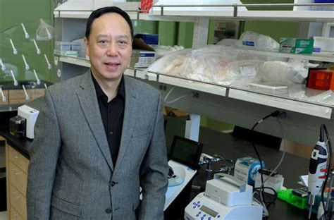 Wsus Wei Yan Recognized For Contributions To Male Reproductive Health Office Of Research