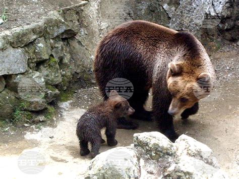 Приходите на Зоопарка в Айтос нарастват с всяка изминала година макар и с малко каза