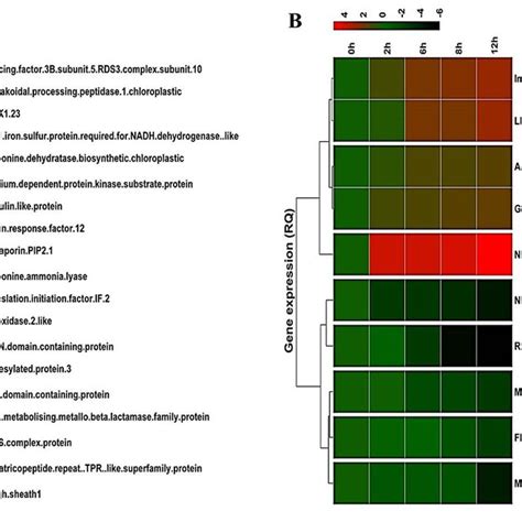 Principal Component Biplot Analysis Pca Of Identified Proteins With Download Scientific