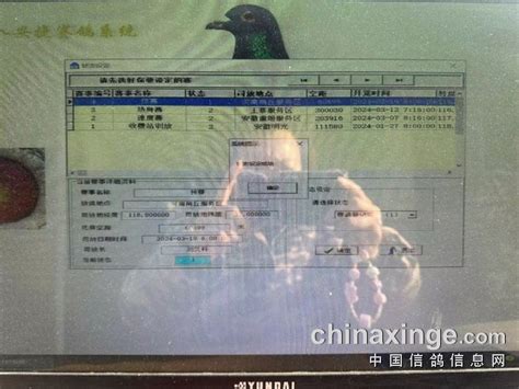 扬州福联翱翔预赛上笼照片 扬州福联翱翔赛鸽中心 中信网各地公棚