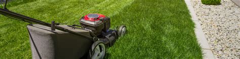 Mitchell Turf Scotlands Leading Lawn Turf Supplier