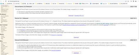 tomcatjenkins和jdk匹配版本 人可何1 博客园