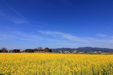 青空の色が青いのは 夕焼け空の色が赤いのは 東京新宿 パーソナルカラー近藤智美の公式サイト愛里子 アイリス