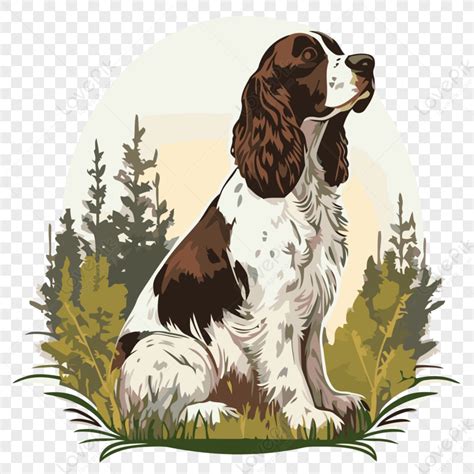 액자 디자인의 풀밭에 있는 스프링거 스패니얼 개 벡터상표 Png 일러스트 무료 다운로드 Lovepik