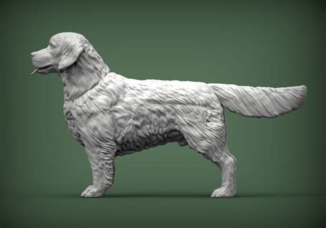 🐕 Golden Retriever 3d Print Model・ 3d File For ・cults