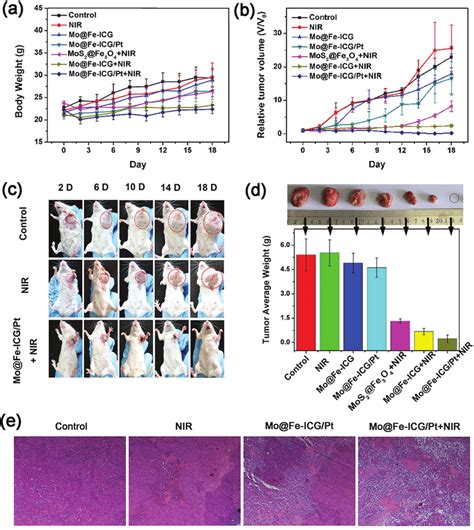 A The Body Weights And B The Relative Tumor Volumes Of Balbc Mice