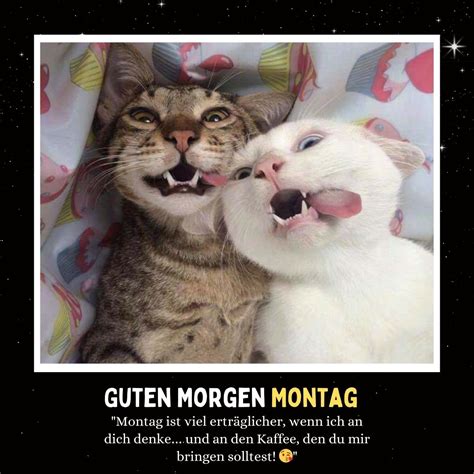 150 Guten Morgen Montag Lustig Sprüche zum Schmunzeln GutenMorgenHub