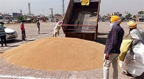 Punjab Mandi Labourers Stir For Wage Hike Disrupts Paddy Procurement