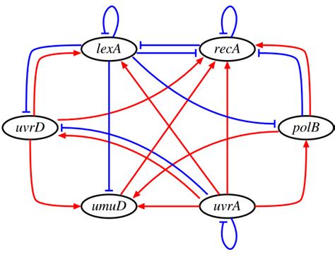 The Core Network Structure Inferred By The Proposed Method Download Scientific Diagram