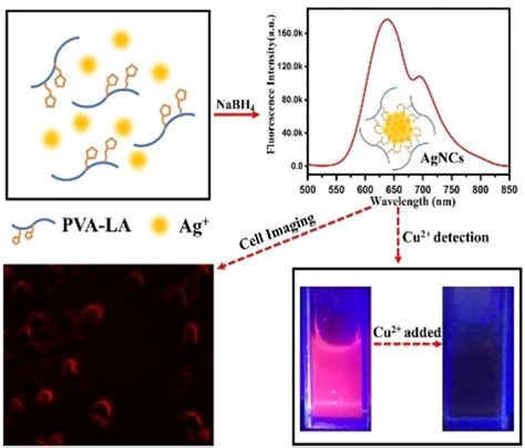 Synthesis Of Dual Red‐emitting Fluorescent Silver Nanoclusters In Aqueous Lipoic Acid‐based