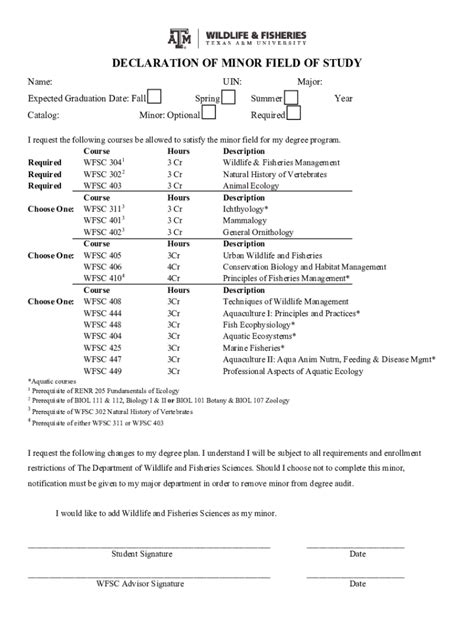 Form Declaration Of Minorform