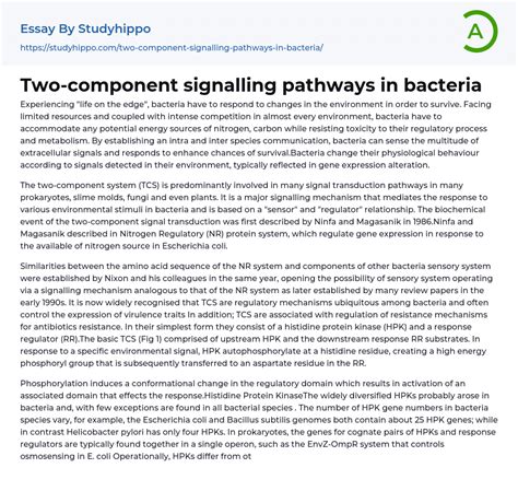Two Component Signalling Pathways In Bacteria Essay Example StudyHippo Com