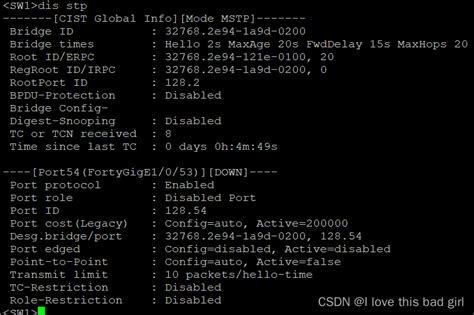实验三、给多台设备下发配置怎么实现大批量新交换机配置下发 Csdn博客