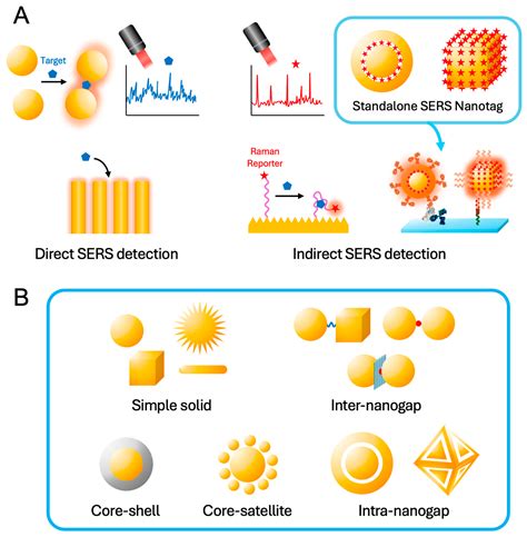 Exploring Plasmonic Standalone Surface Enhanced Raman Scattering