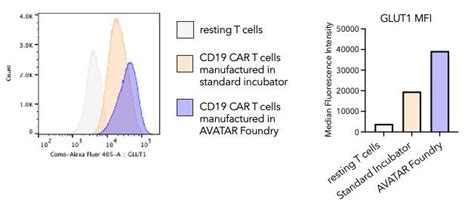 Potency Persistence Cellandgenetherapy Tme Shannon Eaker
