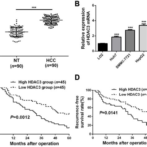 Upregulated Hdac3 In Hcc Indicates Poor Prognosis A Rt Qpcr Analysis