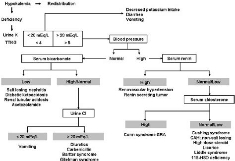 Differential Diagnosis Of Hypokalemia Is Shown Hypokalemia My Xxx Hot Girl