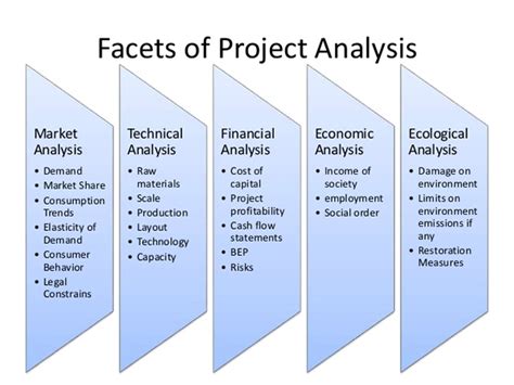 Project Analysis