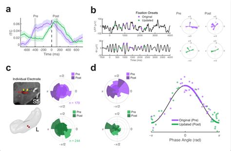 Distinct Phases Of Theta Phase Are Associated With Retrieval And Download Scientific Diagram