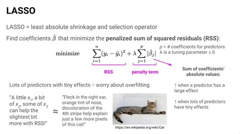 Shrinkageregularization Youtube
