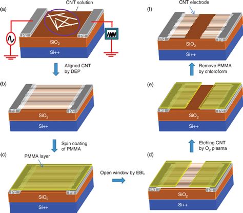 Figure 1 From Fabrication Of Aligned Carbon Nanotube Array Electrodes