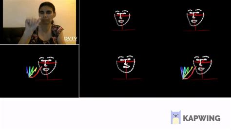 Recommended Way To Process Videos Issue Wolterlw Hand Tracking GitHub