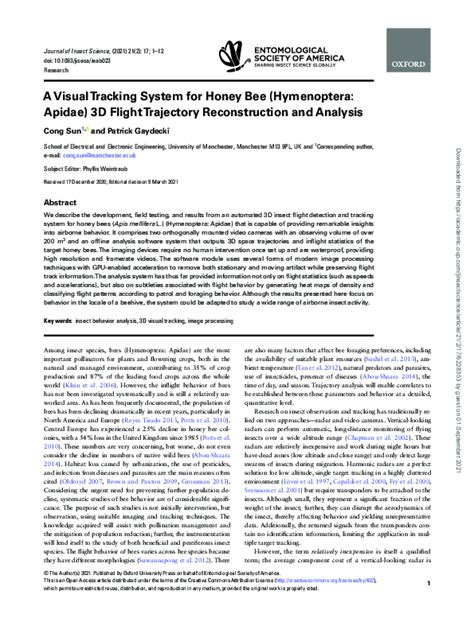 pdf a visual tracking system for honey bee hymenoptera apidae 3d