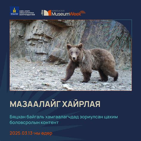 Цахимд нутагшсан Мазаалай