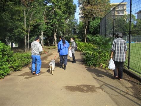 分園秋の部第二回ヤギのクリーンパトロールと花壇づくり開催しました！ 東板橋公園｜板橋こども動物園と徳丸ヶ原公園｜こども動物園高島平分園