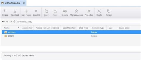 Ssis Flexible File Task With Azure Data Lake Storage