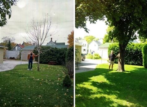 10 Impressive Progress Photos Of Trees Growing Up And Making Spaces Greener - Pictolic