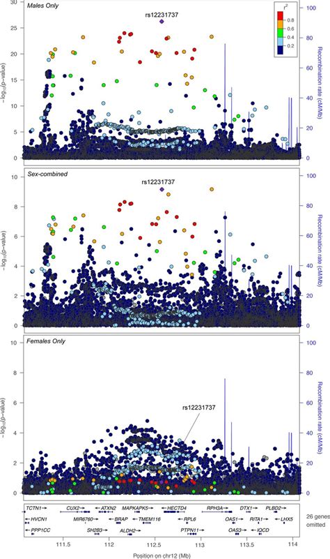 Regional Plots Of Male Specific T2d Associated Locus Aldh2 For Each Download Scientific