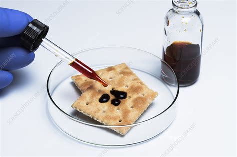 Iodine Test For Starch Stock Image C0527645 Science Photo Library