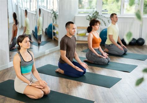 Lovers Of Active Lifestyle On Yoga Mat Perform Doing Diamond Pose