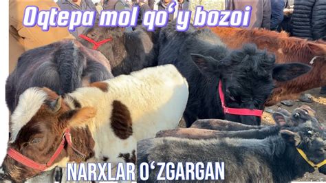 Samarqand Bulungʻur Oqtepa mol bozori fevral YouTube