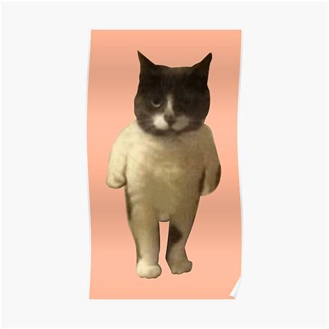 Cat Meme Poster For Sale By Tttatia Redbubble