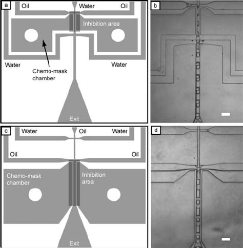 Schematics Of Double Emulsion Devices And Micrographs Of The Double Download Scientific