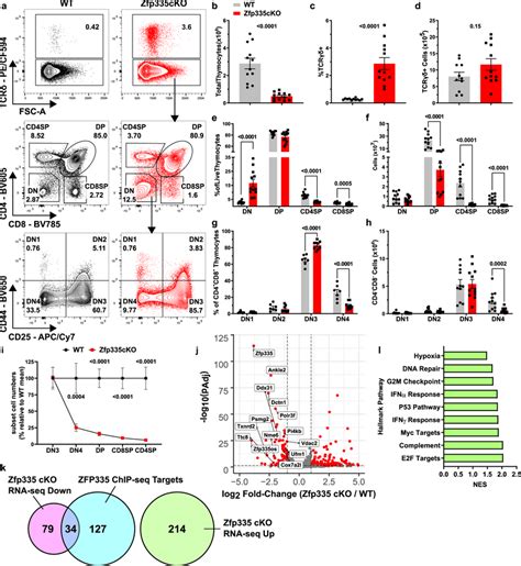 Zfp335 Is Critical To αβ T Cell Development A Gating Schema For Ex Vivo Download Scientific
