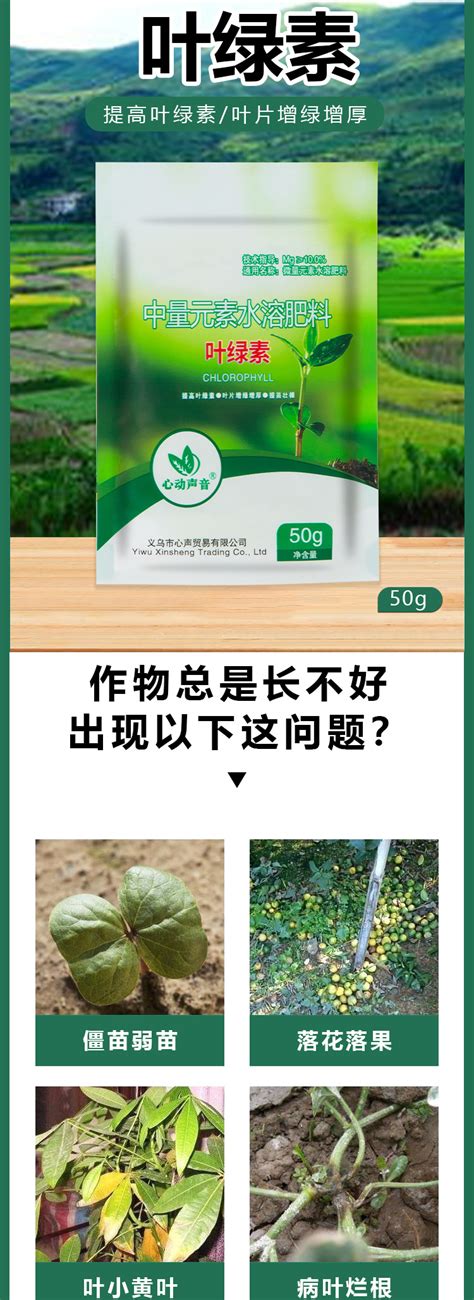 叶绿素氨基酸叶面肥壮棵提苗增厚增绿生根中量元素水溶肥料工厂直 阿里巴巴