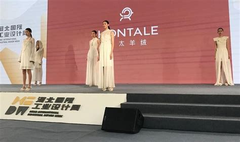 清河羊绒产业小镇的品牌整合二 知乎