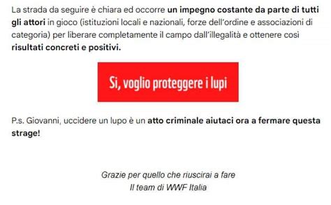 Come E Perché Usare Un Post Scriptum Nelle Email