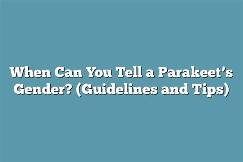 When Can You Tell A Parakeets Gender Guidelines And Tips