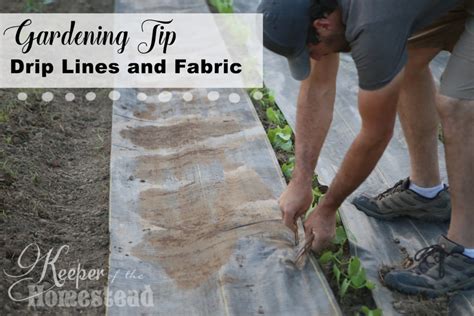 Adding Drip Lines And Fabric To The Garden Keeper Of The Homestead