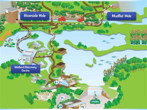 Hong Kong Wetland Park Learning At Wetlands Public Programme