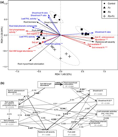 Redundancy Analysis Rda Plot Exploring The Relationships And Download Scientific